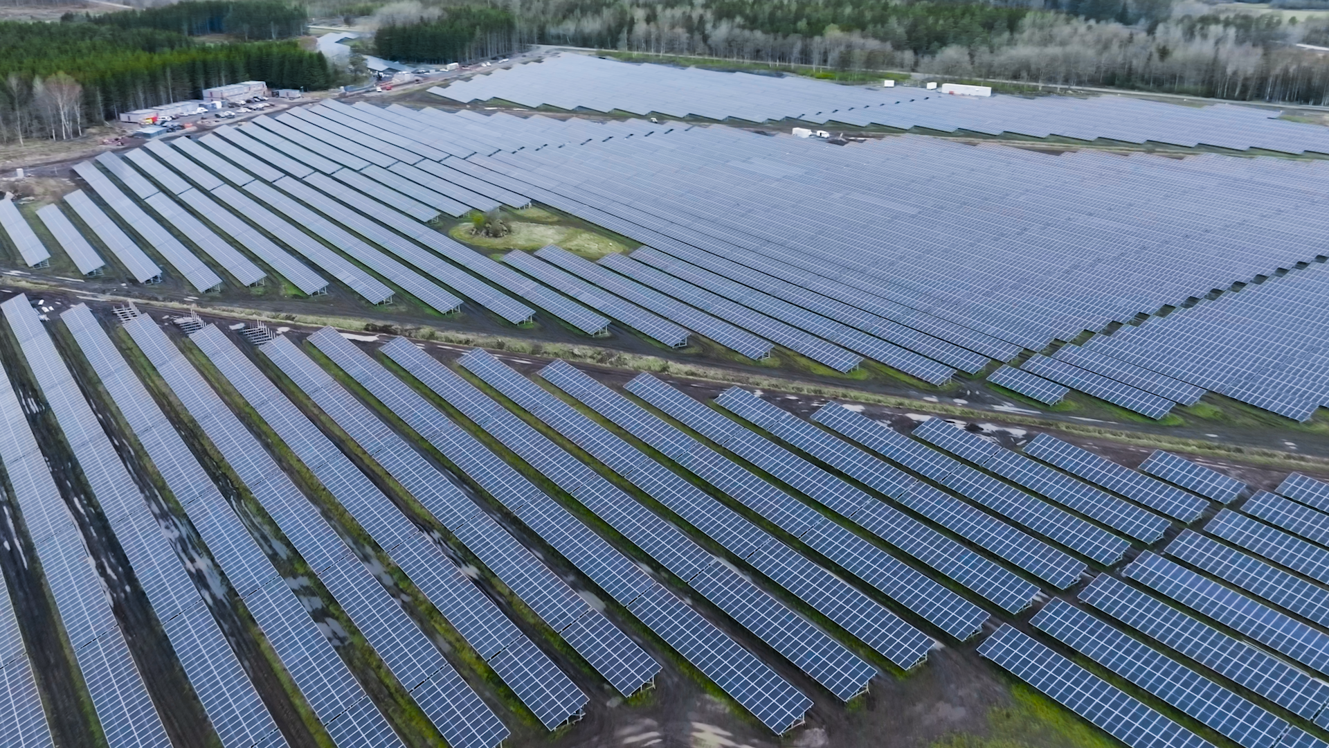 Sveriges største solpark indviet af Axfood og Alight – Alight