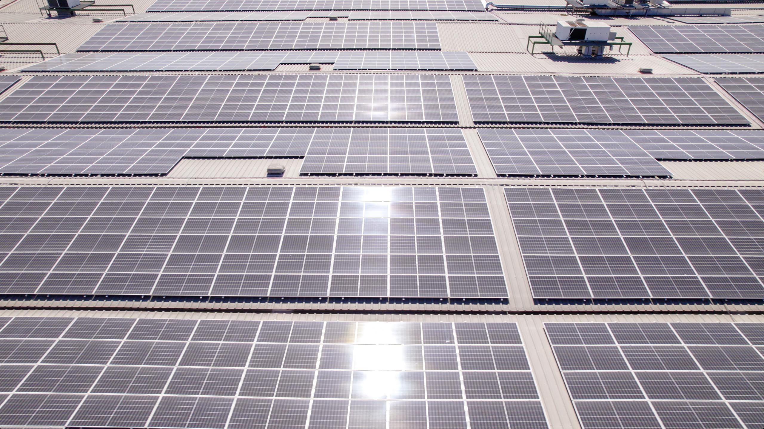 Image bank – Alight